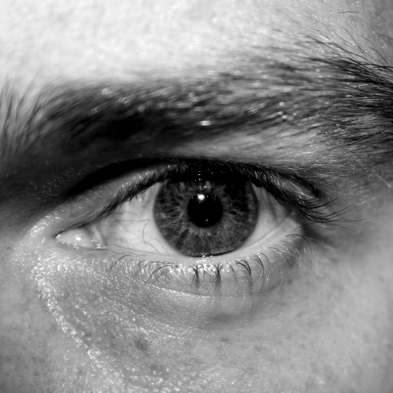 The Geometrician // Ian Abbott