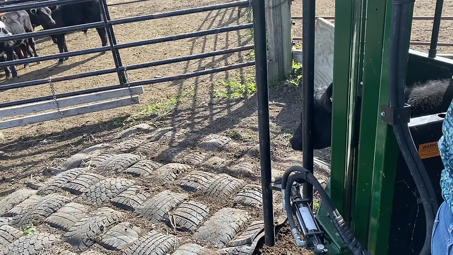 Non-slip Cattle Mats | Dfcattlemats | Britton