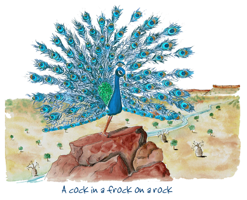 A cock in a frock on a rock | jorothwell