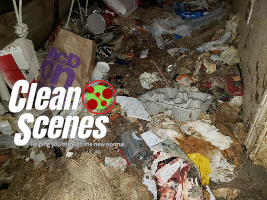 Hoarding & Clutter Clean-Up | Clean Scenes