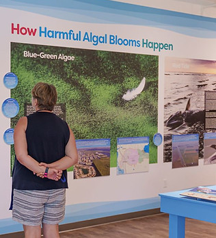 Bailey-Matthews National Shell Museum | Sanibel Island