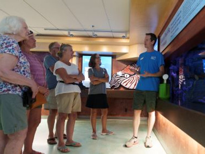 Bailey-Matthews National Shell Museum | Sanibel Island