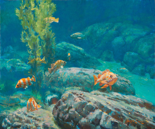 ROSY ROCKFISH | The Gallery