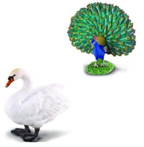 CollectA Bird Pack | Toymagine