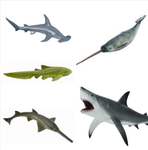 CollectA Ocean Pack2 | Toymagine