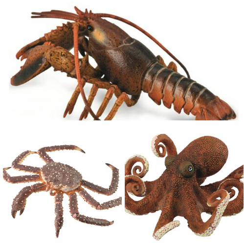 CollectA Ocean Pack 3 | Toymagine