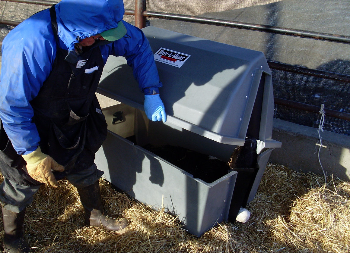 Roy-L-Heat Calf Wamer (RH5000) | smucker-mfg