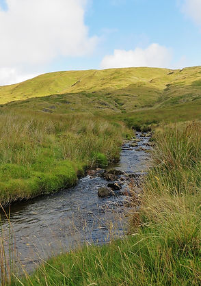 River Wye Source Walk | Walk and hike to the source of the River Wye on ...
