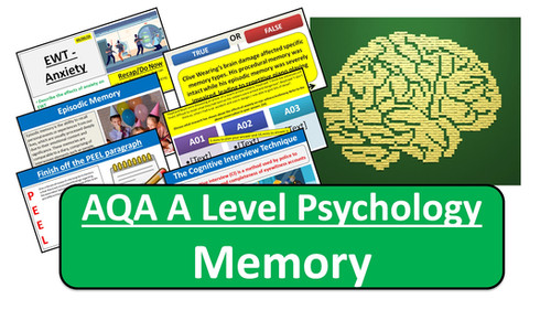 Memory (COMPLETE UNIT) - AQA A Level Psychology | Mr. Zee's Resources