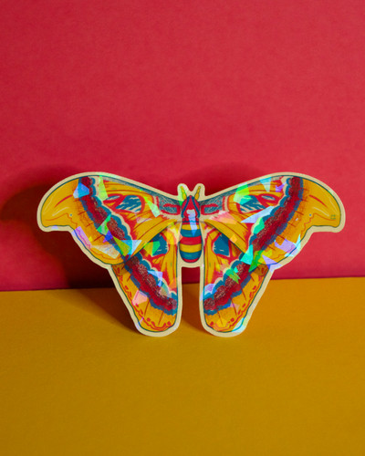 Pansexual Flag Moth - Sticker | ZT Draws