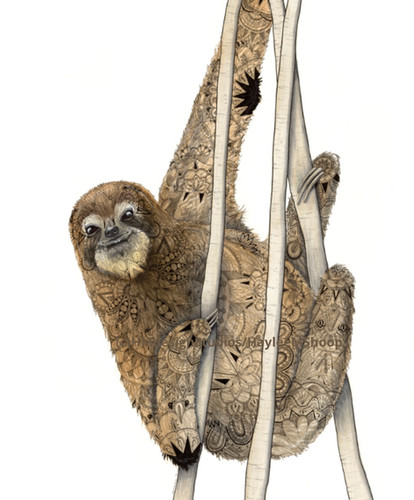 Sloth Small Art Print, Pen and Ink By Haylee M Shoop | HMdesignStudios