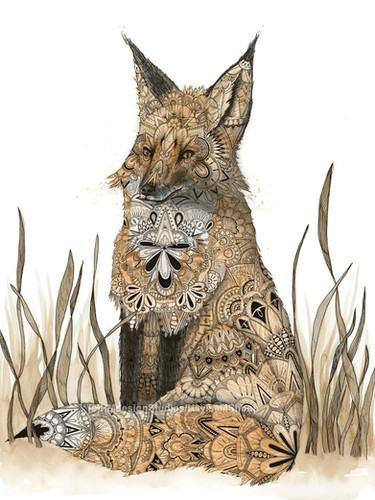 Fox Print, Watercolor and Pen and Ink by Haylee M Shoop | HMdesignStudios