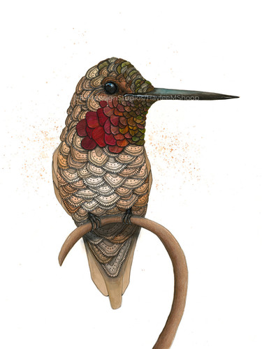 Hummingbird 3, LIMITED EDITION PRINT , Watercolor & Pen & Ink by Haylee ...