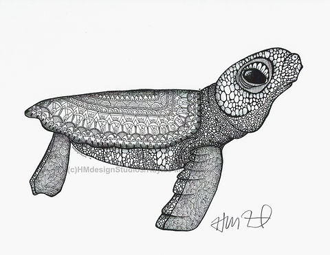 Ink Pen Drawing Of A Baby Sea Turtle Signed By The Artist