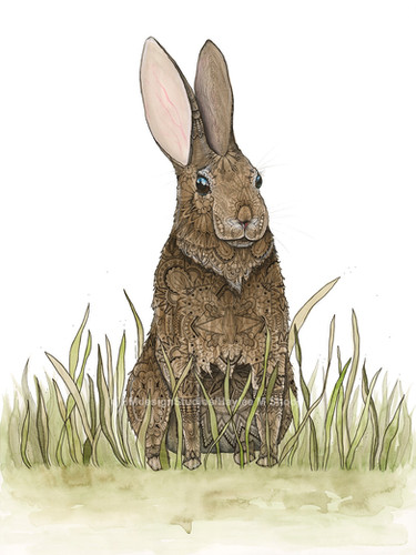 Rabbit Print, Watercolor and Pen and Ink by Haylee M Shoop ...