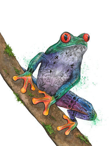 Tree Frog Print, Watercolor and Pen and Ink by Haylee M Shoop ...