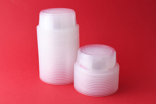 100 12OZ DELI CUPS | Wildracks
