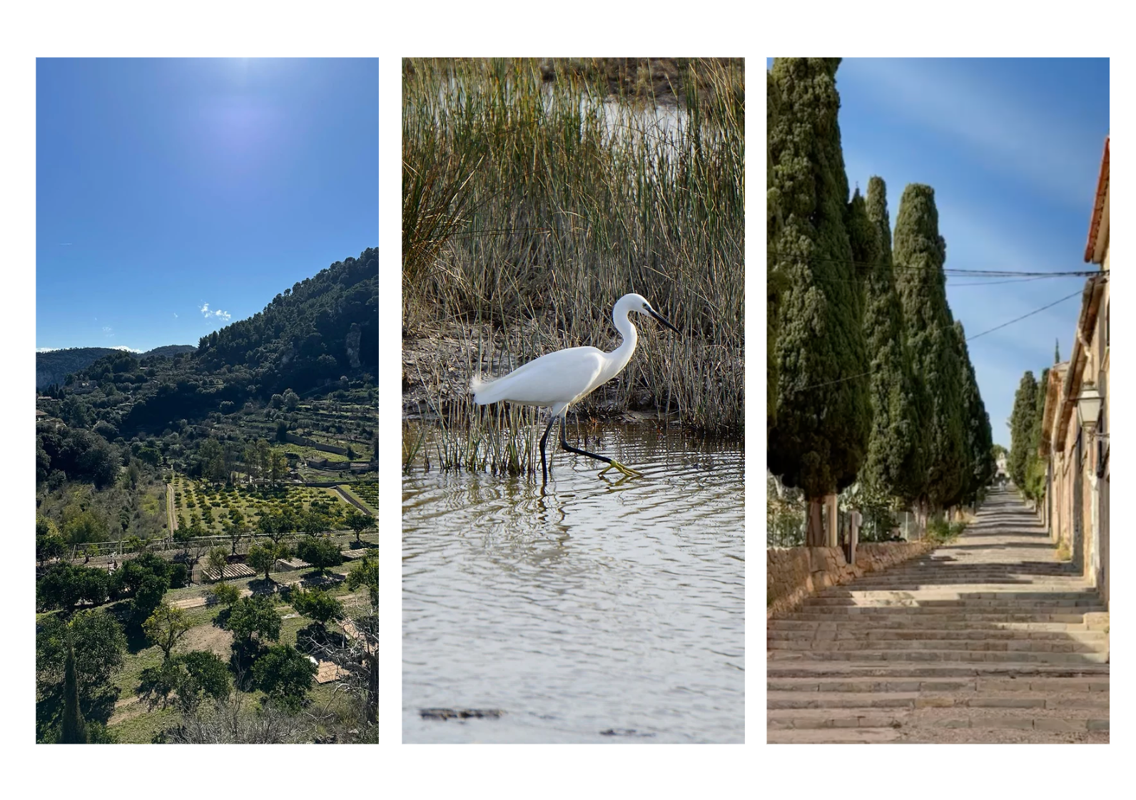 Places to Visit - North Mallorca | inMallorca Magazine| News | Travel Guide