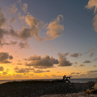Pearls from the Abrolhos | Liddon Pearls