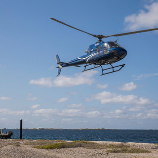 Pearls from the Abrolhos | Liddon Pearls