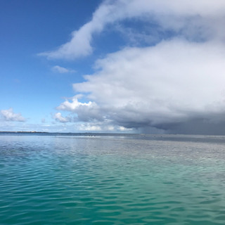 Pearls from the Abrolhos | Liddon Pearls