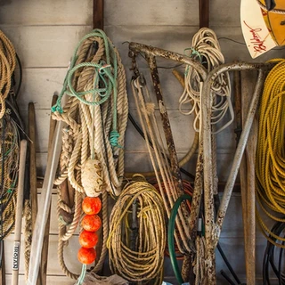 Pearls from the Abrolhos | Liddon Pearls