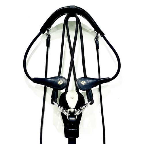 EquiBalance® Training Rein PREMIUM | Lunging Equipment | Vivid Heritage
