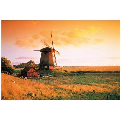 100-081 Holland | Yoisa