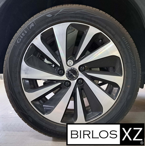Birlos de Seguridad XZ | BYD-Song