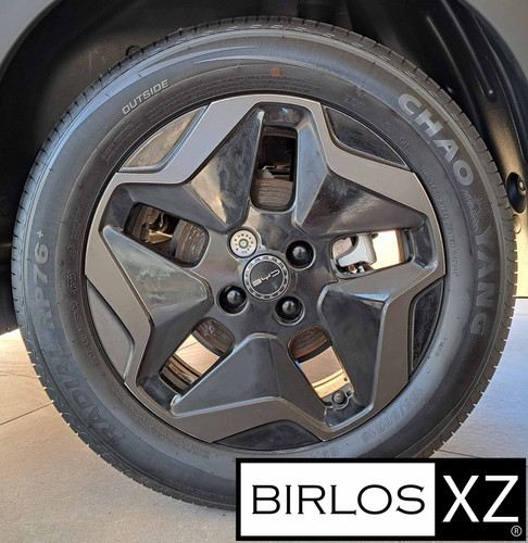 Birlos de Seguridad XZ | BYD - Dophin