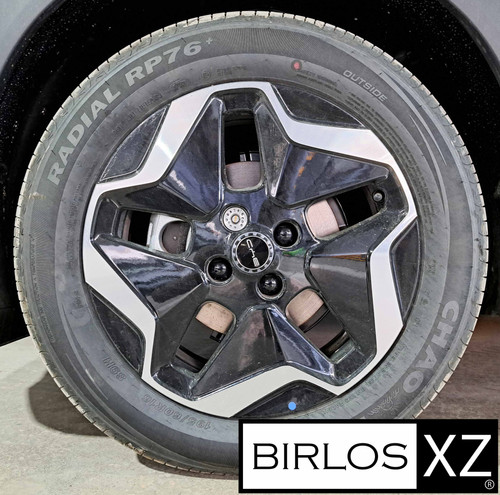 Birlos de Seguridad XZ | BYD - Dophin