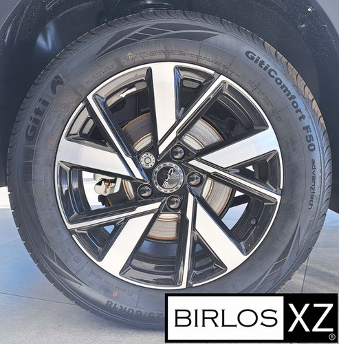 Birlos de seguridad XZ | BYD - Song Pro