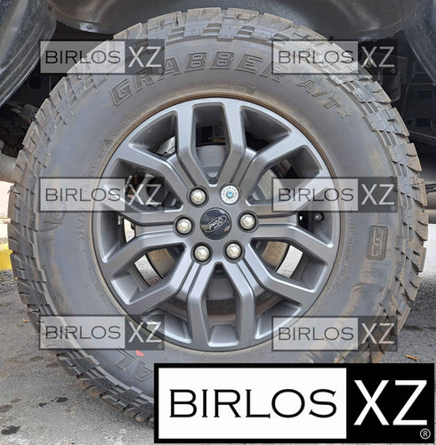 Birlos XZ/ Ford Lobo