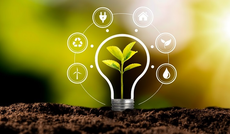 Coral Energy | Smart Energy saving Solutions