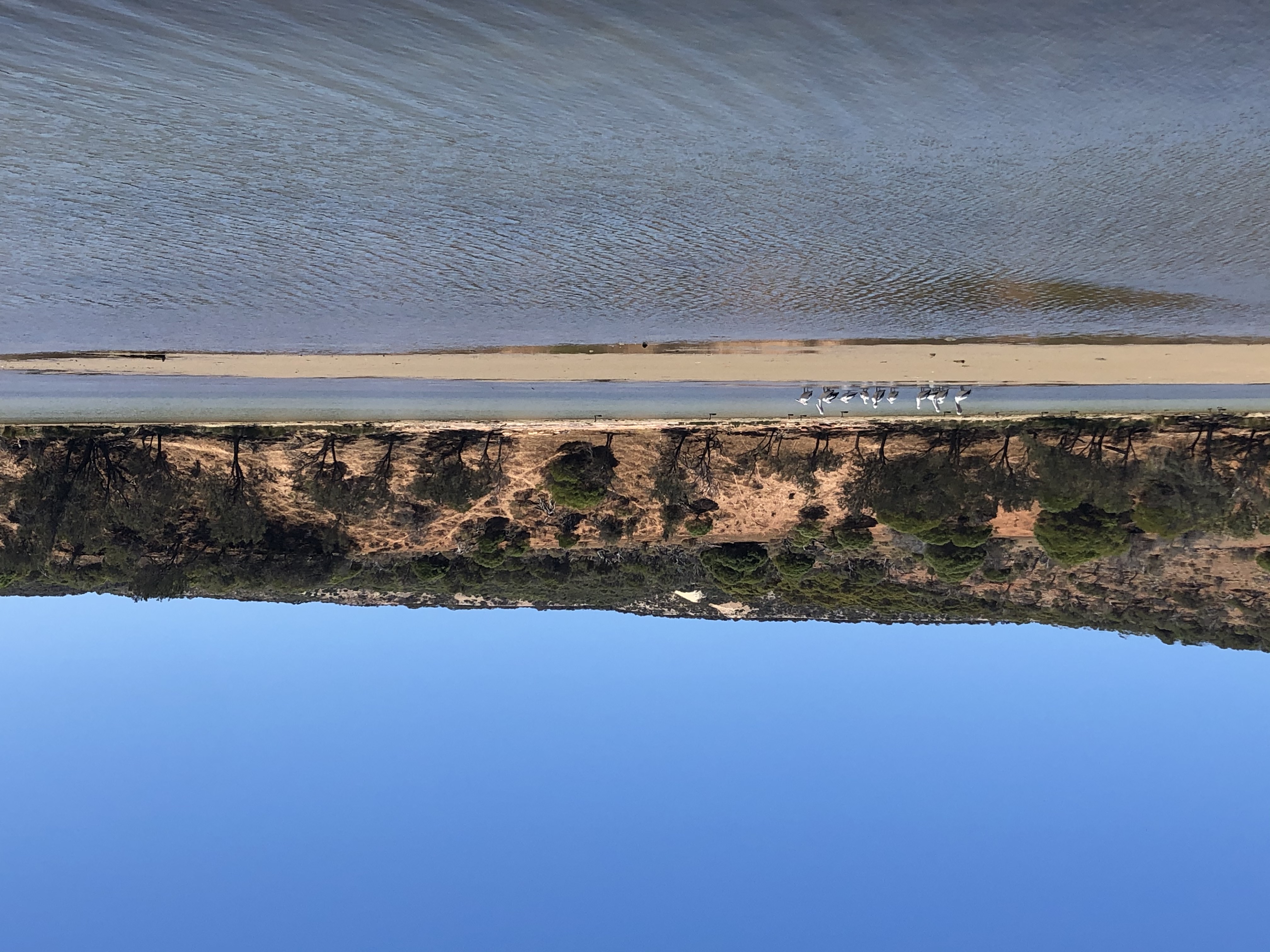 KALBARRI CANOE SAFARIS | Kalbarri boat hire