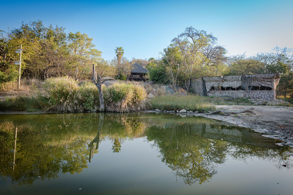 The Hide | Klipspringer