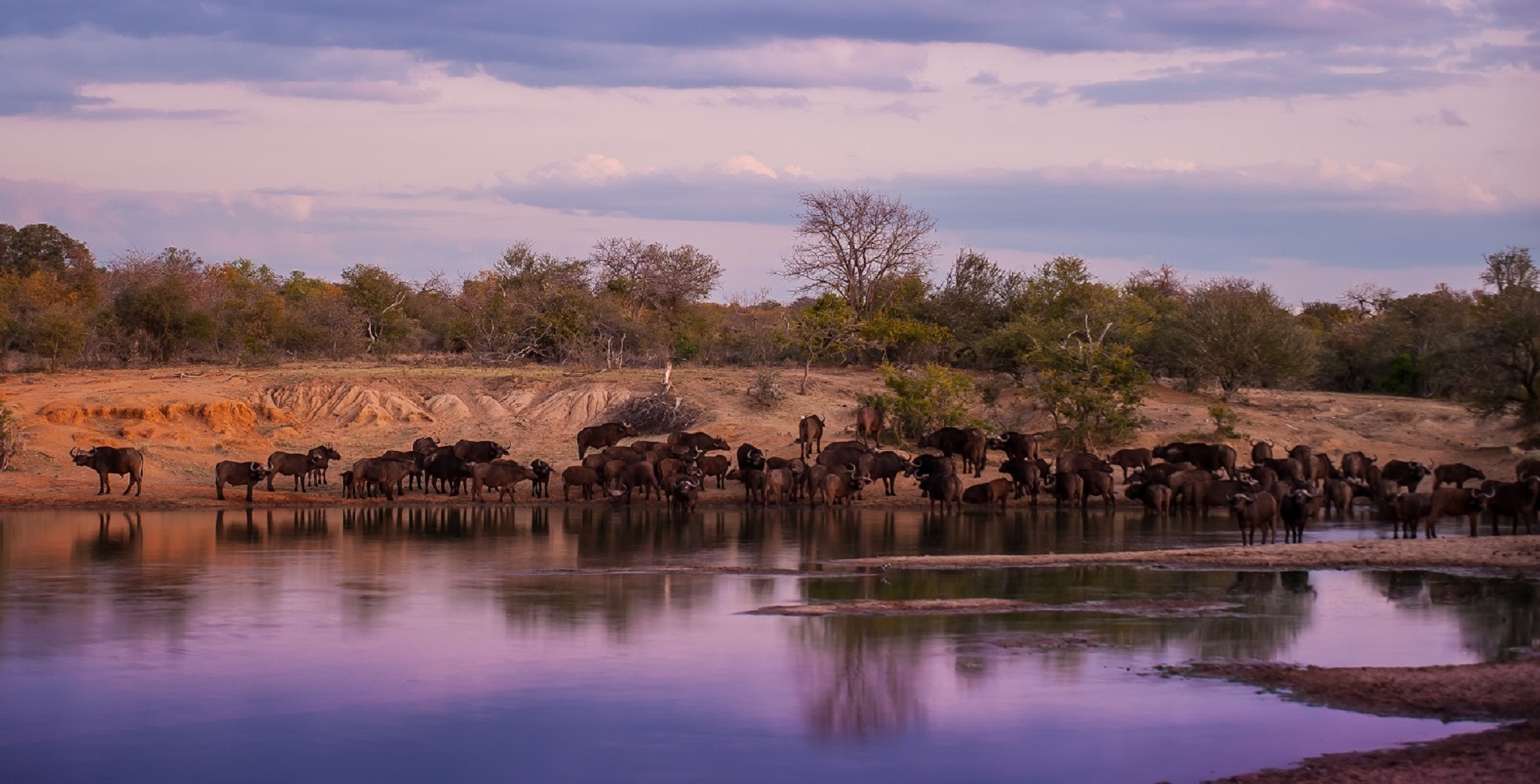 Tshukudu Game Lodge | Hoedspruit | South Africa