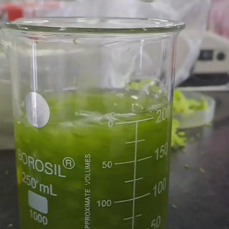 Broccoli DNA Extraction | Science Experiment