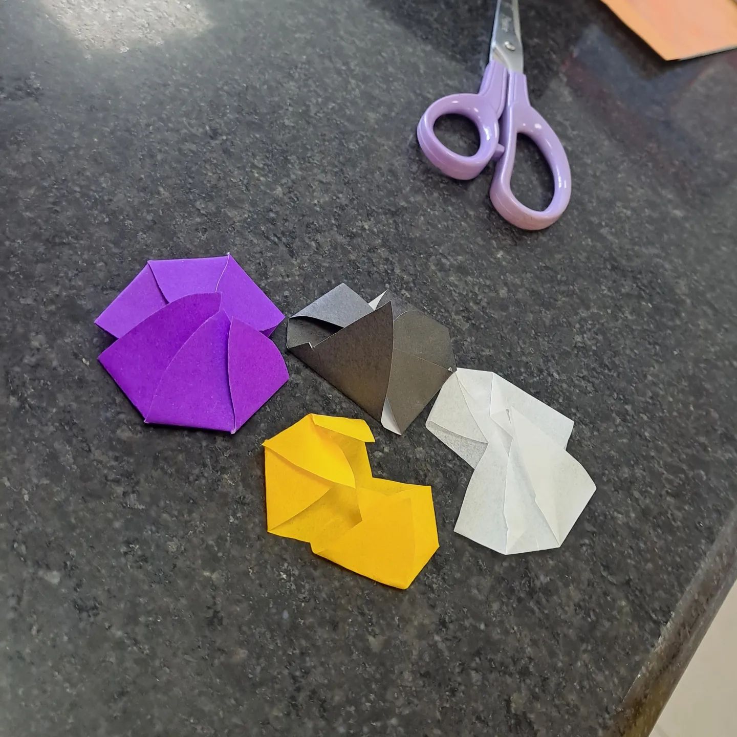 Blooming Paper | Science Experiment