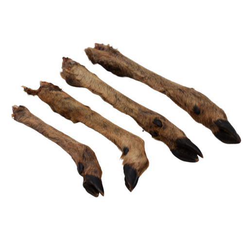 Raw Roe Deer Legs x3 Pack | Raw4All Ltd