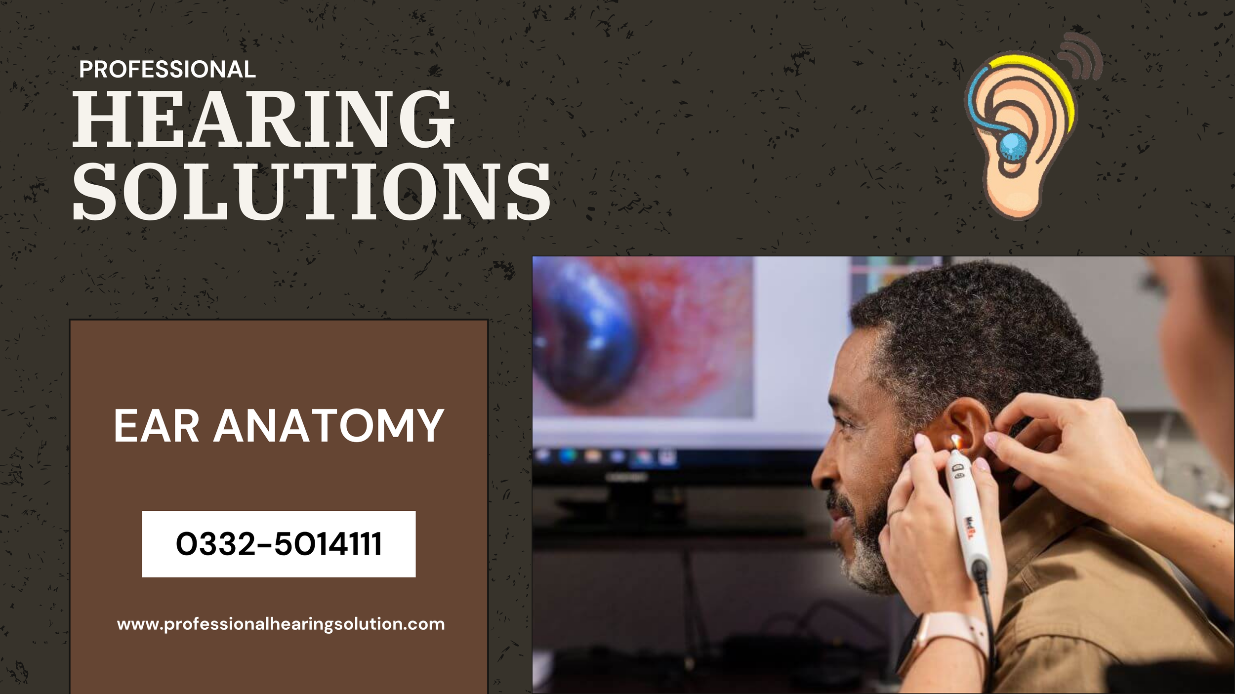 Ear Anatomy How Ear Works | Guide