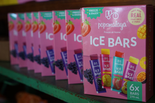 Freeze at home Ice bars 6pk | Portershed Store