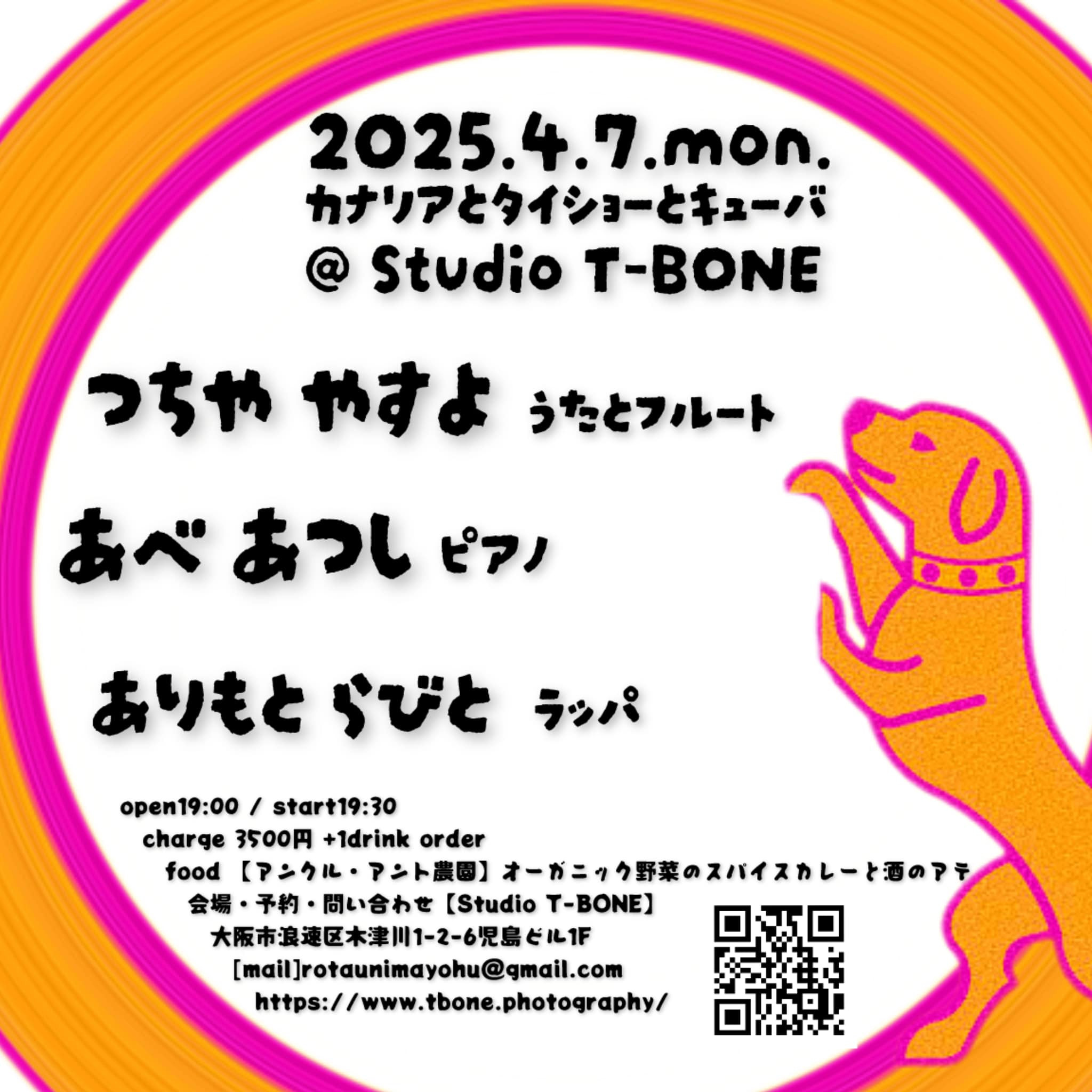 カナリアとタイショーとキューバ | Studio T-BONE