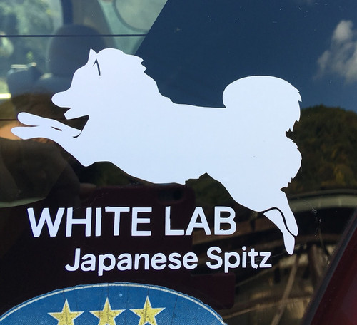 All Products | spitz