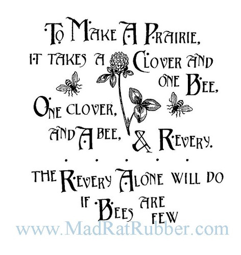 V596 To Make a Prairie... B14 | madratrubber