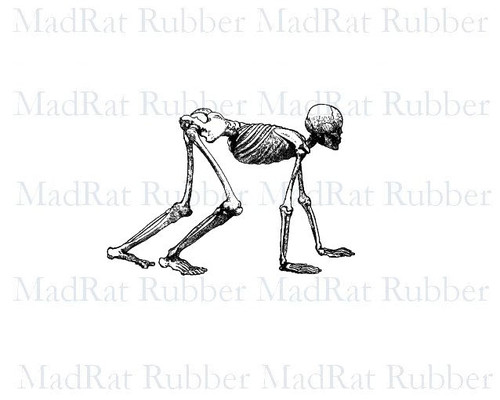 V693 Crawling Skeleton | madratrubber