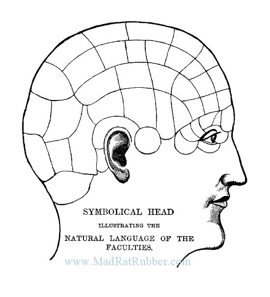 V145 Symbolical Head