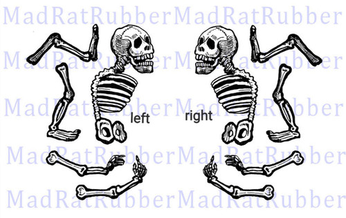 V475 Gesturing Skeleton Doll Left