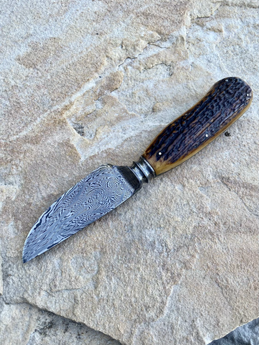 American Stag | Wildcraft
