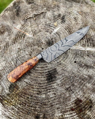 Lil Zebra | Wildcraft